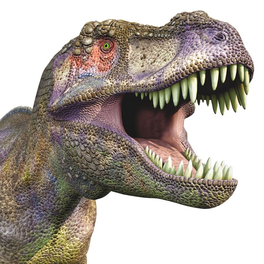 Hoe dinosaurussen echt klonken ⋆ Historyland